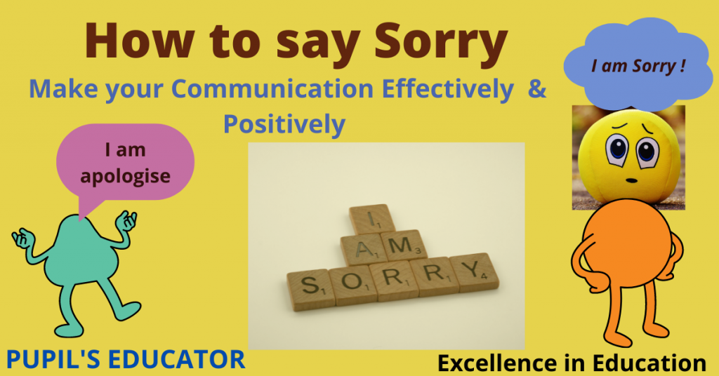 How to say Sorry in English 2022 - Pupil's Educator